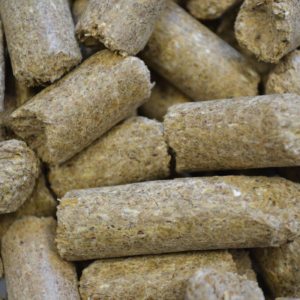 Beef – Proveta Nutrition Ltd.